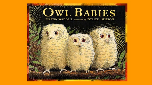 Owl Babies PPT with Colourful Semantics | Teaching Resources