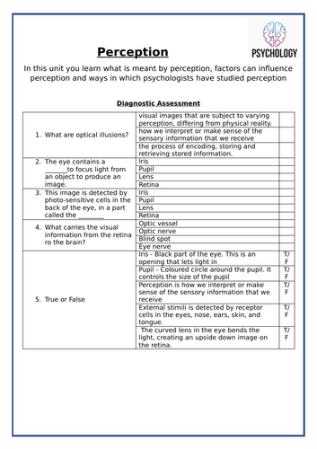 Perception Diagnostic Quiz | Teaching Resources