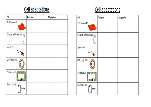 Primary cells resources