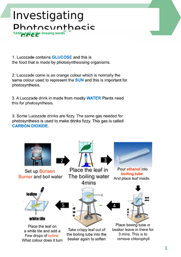 KS3 Year 8 - Biology - Ecosystems Processes - Photosynthesis | Teaching ...