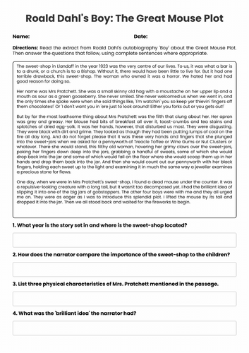 Roald Dahl Boy Comprehension | Teaching Resources