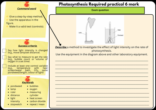 GCSE Biology Required Practical: Photosynthesis (6 Mark Question ...