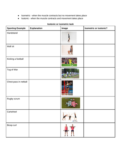 AQA GCSE PE Muscle Contractions Worksheet | Teaching Resources