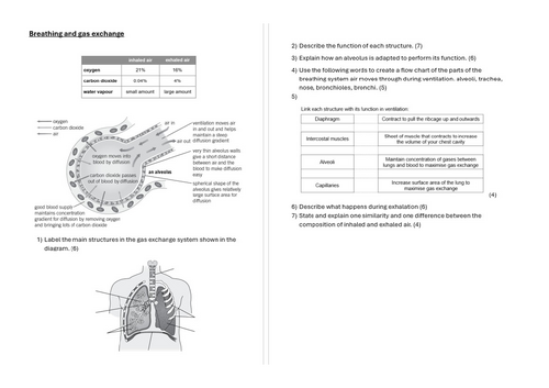 KS4 Year 10 - Exchange - Breathing and Gas Exchange | Teaching Resources