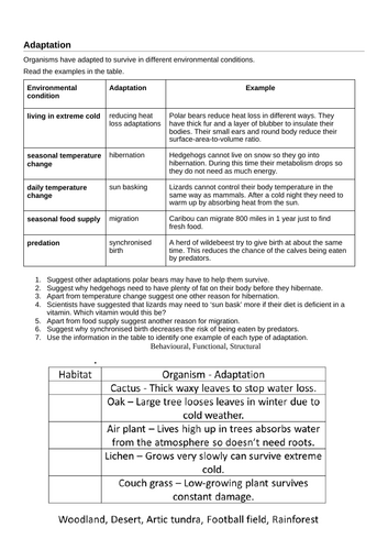 KS4 Year 10 - Ecosystems - Adaptations | Teaching Resources