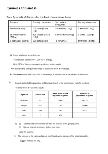 KS4 Year 10 - Ecology - Pyramid of Biomass | Teaching Resources