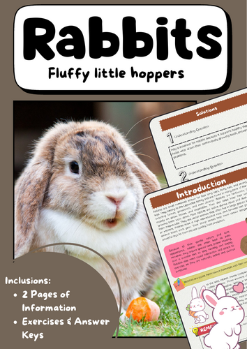Rabbits: Behavior, Diet, Care, and Pet Guide | Teaching Resources