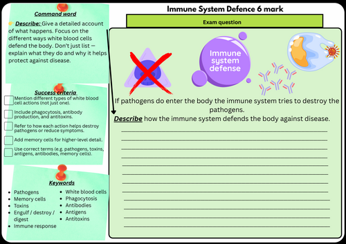 FREE Immune System Defence – 6 Mark Exam Question | Scaffolded ...