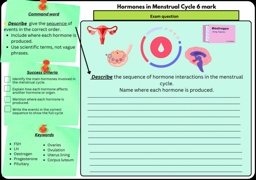 Hormones in Menstrual Cycle GCSE Biology 2 | 6 Mark Exam Question ...