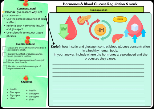 Hormones & Blood Glucose Regulation – GCSE Biology 6 Mark Exam ...