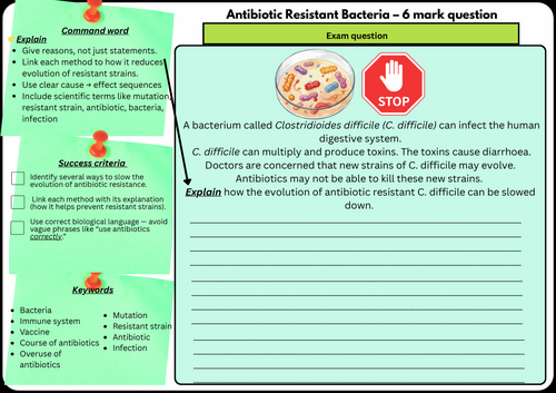 Antibiotic Resistant Bacteria – Biology Paper 2 6 Mark Exam Question ...
