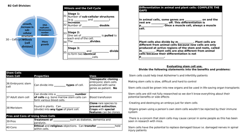 GCSE Biology Cell division and stem cells revision organiser | Teaching ...
