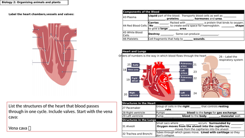 GCSE Biology Heart, heart treatments and plant transport revision ...