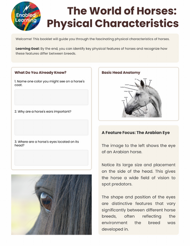 Horse Psychology 2 - Horse Characteristics Task Booklet | Teaching ...