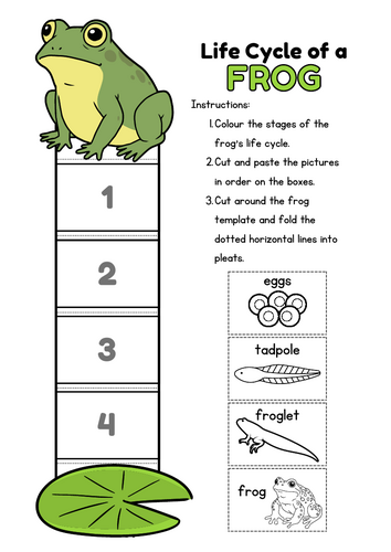 Frog Life Cycle Craft, Science Activity for KS1 | Teaching Resources