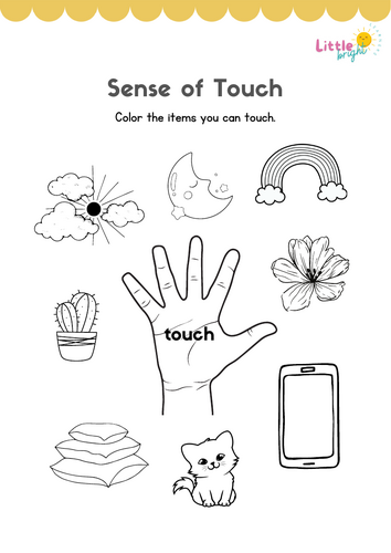 Sense of Touch Worksheet – EYFS / KS1 Science (Five Senses Activity ...