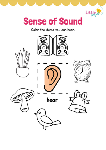 Sense of Sound Worksheet – EYFS / KS1 Science (Five Senses Activity ...