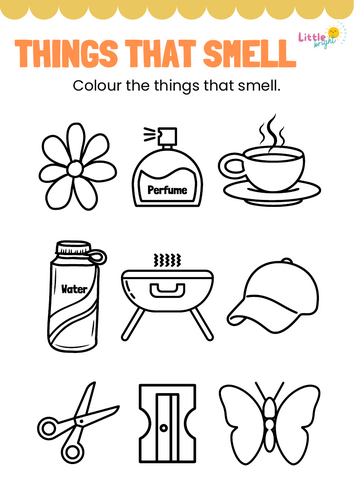 Things That Smell – EYFS / KS1 Science (Sense of Smell Worksheet ...