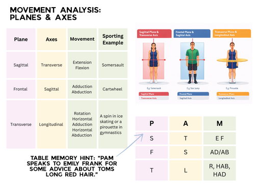 GCSE PE: Movement Analysis - Planes and Axes. | Teaching Resources