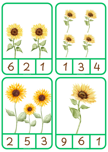 Sunflower Pack | Teaching Resources