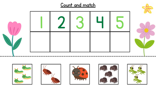 Minibeast count and match | Teaching Resources
