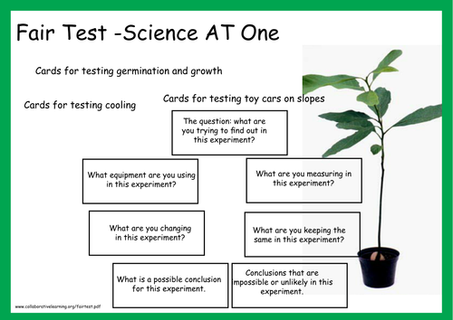 Fair Test | Teaching Resources