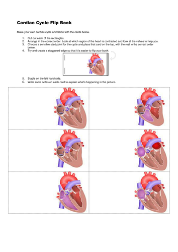 Cardiac cycle flip book by Mrs_B - Teaching Resources - Tes