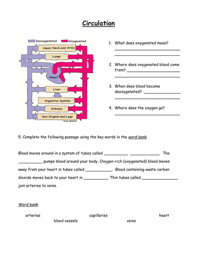 Heart and circulation | Teaching Resources