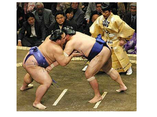 Data Handling Sumo wrestlers | Teaching Resources