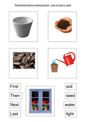 How to plant a seed - writing planner | Teaching Resources