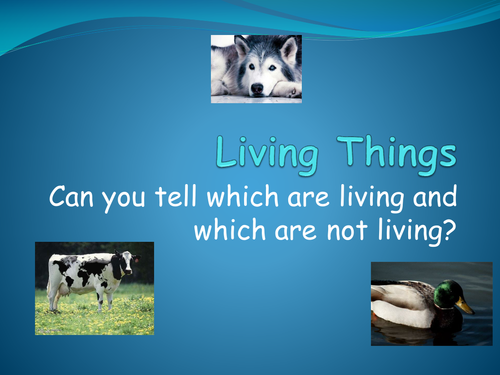 Living and non-living things - PowerPoint | Teaching Resources