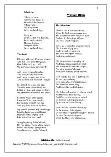 Skellig by David Almond: reading and writing tasks | Teaching Resources