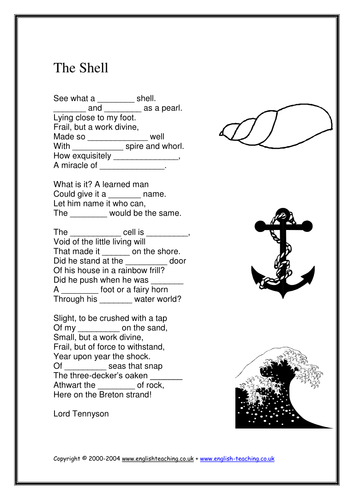 The Shell - Cloze Activity | Teaching Resources