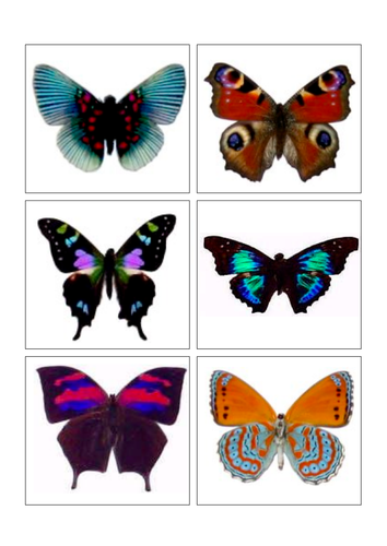 Early years symmetry resources