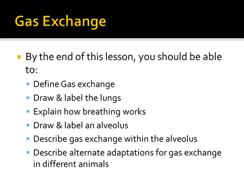 Gas exchange ppt HT | Teaching Resources