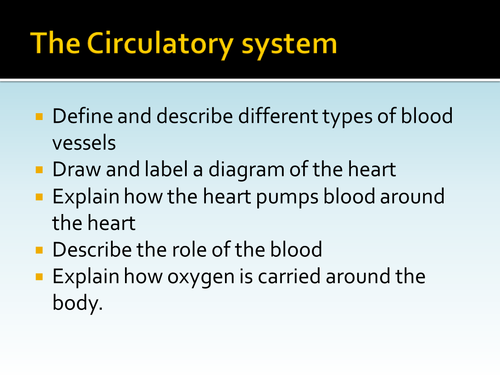 Circulatory system ppt handout HT | Teaching Resources