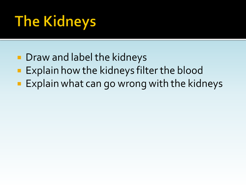 Kidneys student handout HT | Teaching Resources