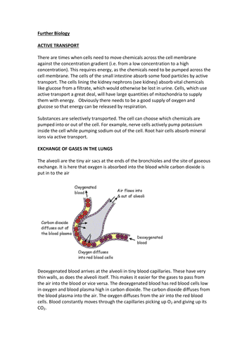 Summary notes HT | Teaching Resources