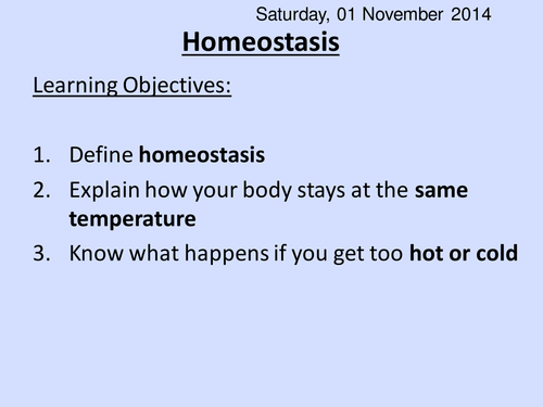 Homeostasis Simple HT | Teaching Resources