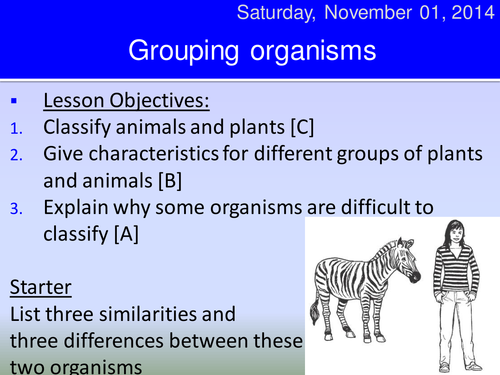 Classification ppt HT | Teaching Resources