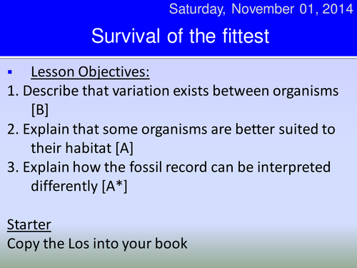 Survival of the fittest HT | Teaching Resources
