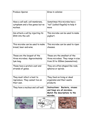 Microbes card sort HT | Teaching Resources