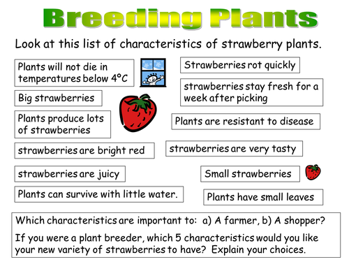 Selective Breeding Examples In Plants Genetic Engineering