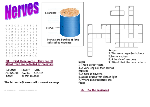 New teacher nerves - poem by - UK Teaching Resources - TES