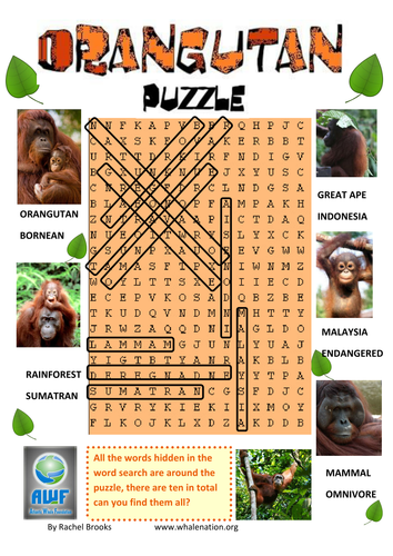 Orangutan Wordsearch including solution by edBentham | Teaching Resources
