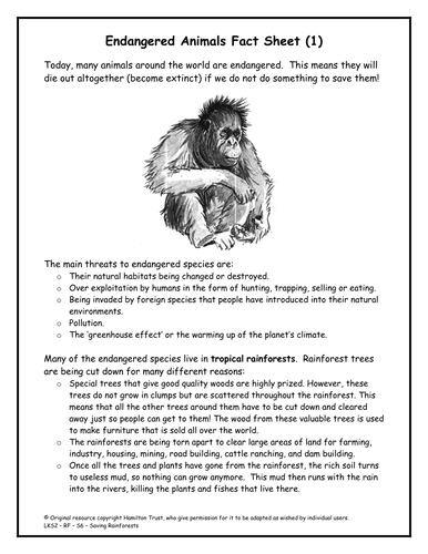 Endangered Animals | Teaching Resources