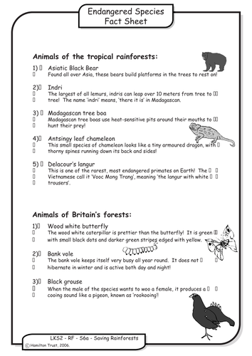 Endangered Animals 2 | Teaching Resources
