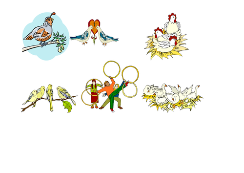 12 Days of Christmas | Teaching Resources