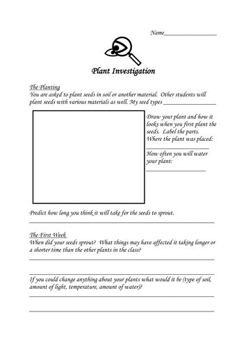 Plant investigation | Teaching Resources