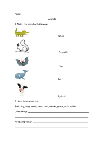 Animals | Teaching Resources